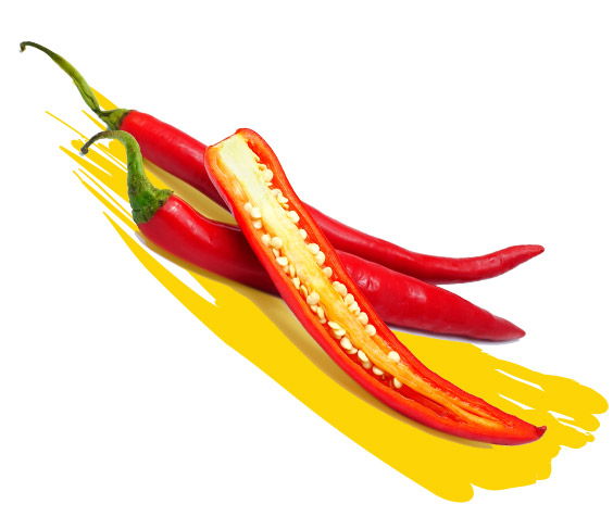 Hourglass Fit Review - Supplement Reviews UK