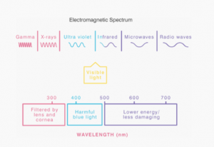 Performance Lab Vision Review - Supplement Reviews UK