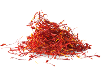 Performance Lab Vision Review - Supplement Reviews UK