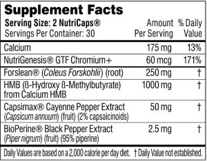 Best Fat Burners to Buy in UK in 2020 – Supplement Reviews UK