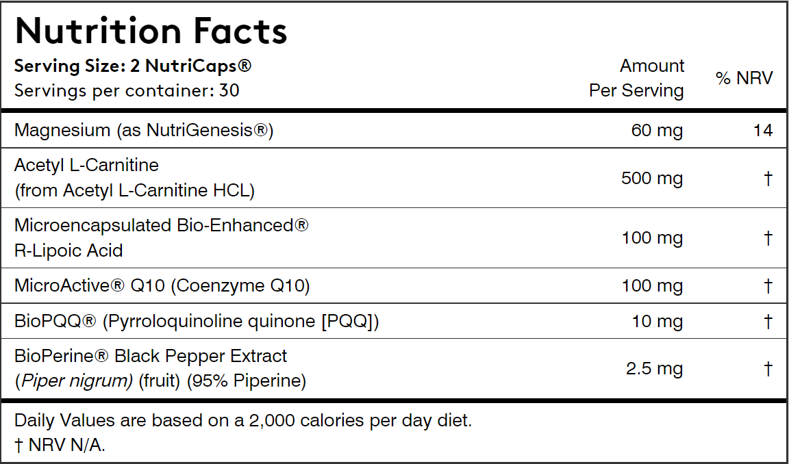 Performance Lab Energy Review – Updated 2023 - Supplement Reviews UK